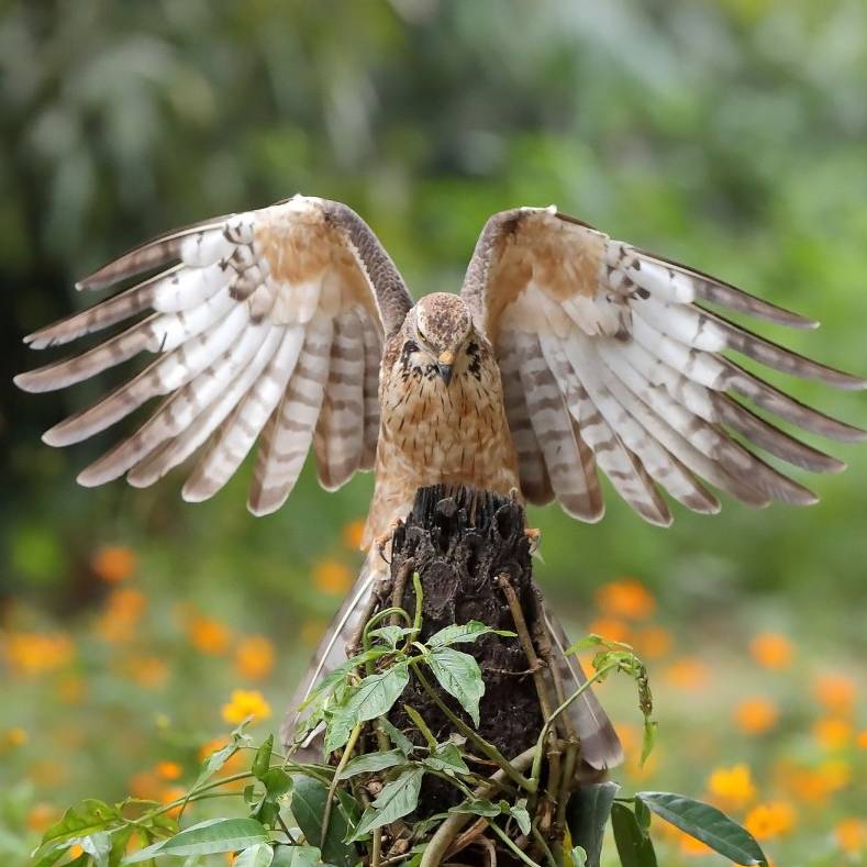 Иконка канала channel31123989