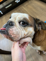 Иконка канала street-smr