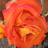 Иконка канала Gurzuf24