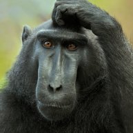 Иконка канала Bazik 790