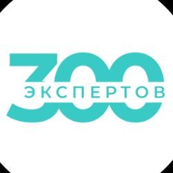 Иконка канала 300 Экспертов