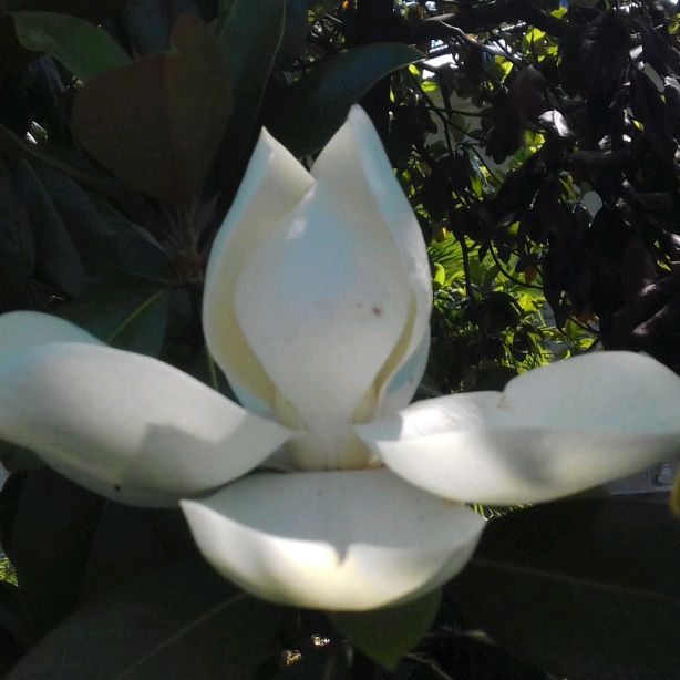 Иконка канала ЛюПри