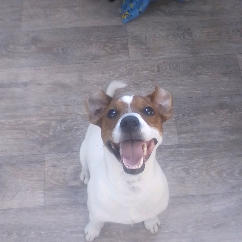 Иконка канала Максим Новожилов2610