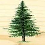 Иконка канала Абиес Столярное дело