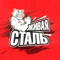 Иконка канала ЖИВАЯ СТАЛЬ