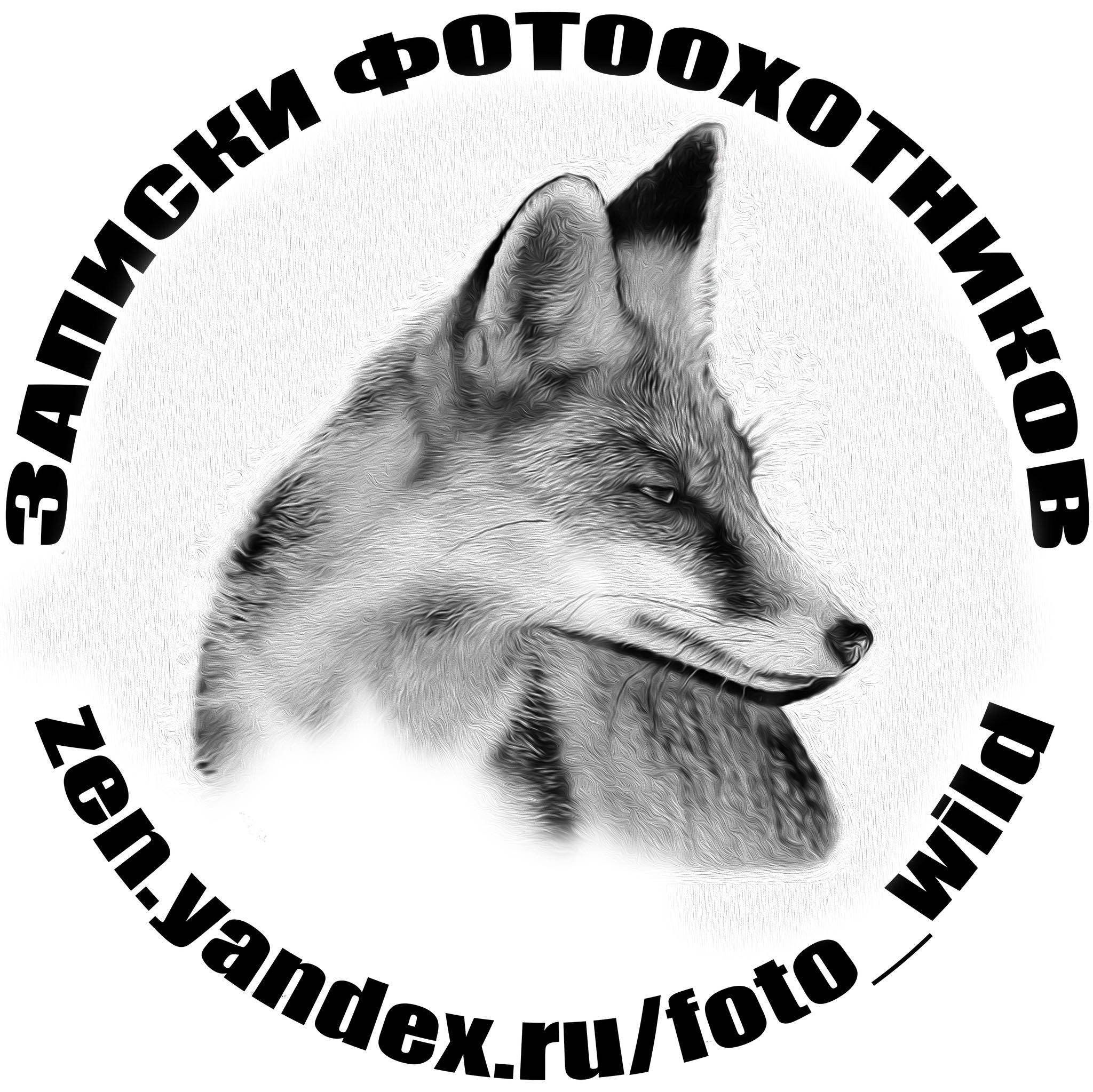 Иконка канала Записки фотоохотников