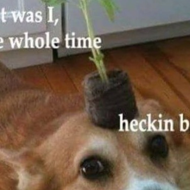 Иконка канала channel34528516