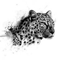 Иконка канала Bars Play