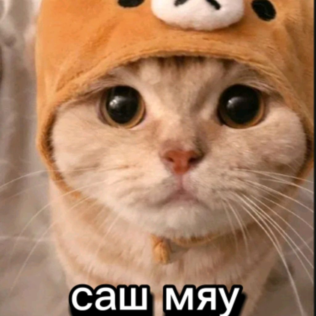Иконка канала САШ МЯУ