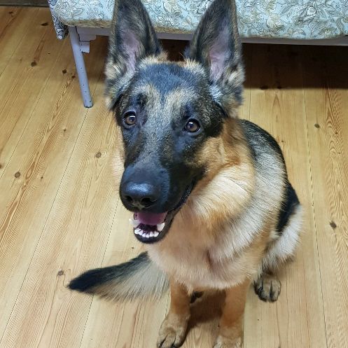 Иконка канала Андрей