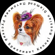 Иконка канала Русский Бриллиант