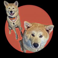 Иконка канала AkiYoKe