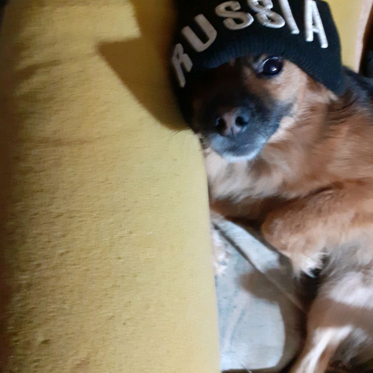 Иконка канала Koka chetkiy