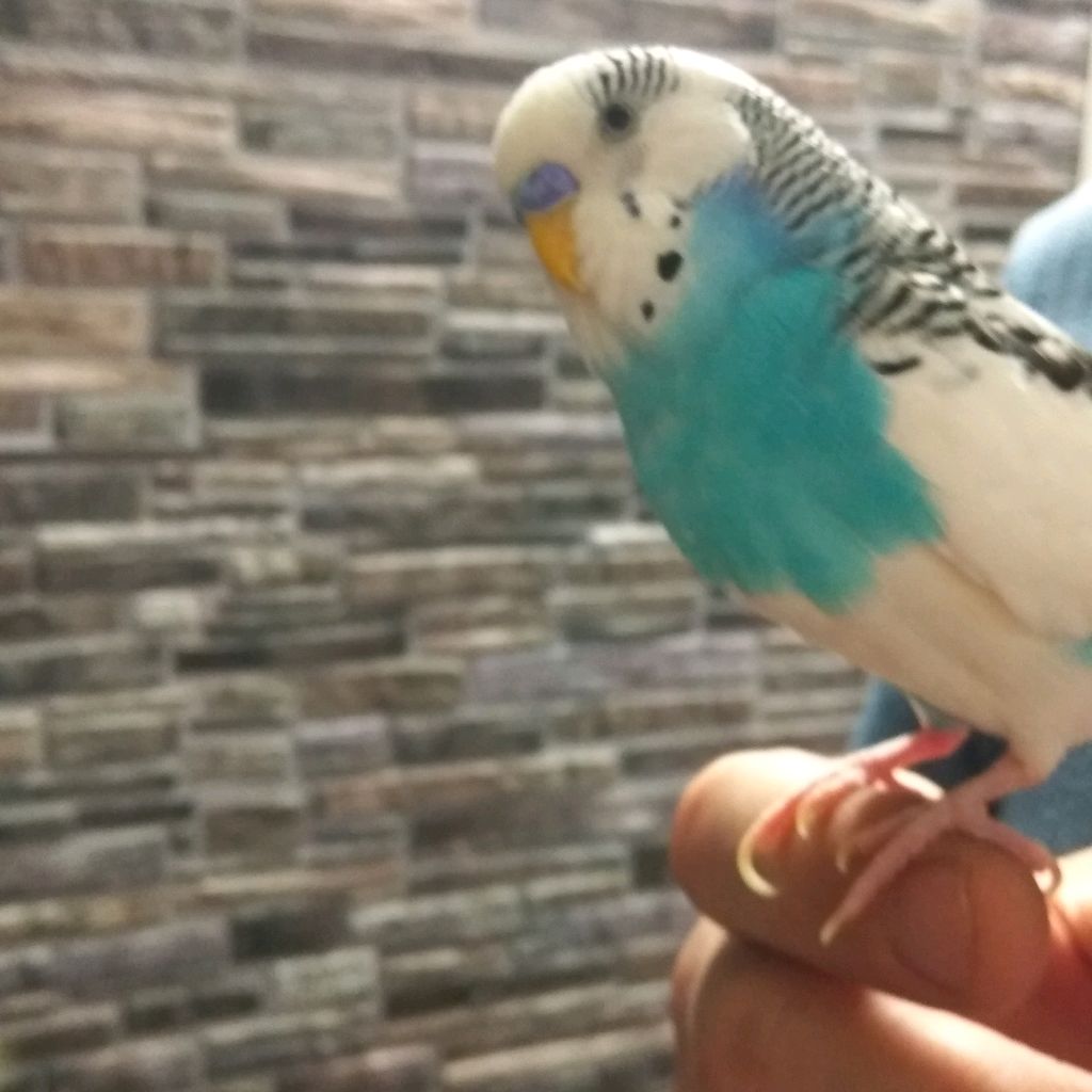 Иконка канала Всяко разно Уфа