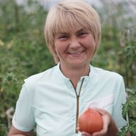 Иконка канала Мичурин - томаты, картофель, перец