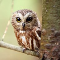 Иконка канала Всемирное Путешествие