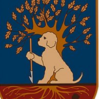 Иконка канала Ассоциация Лаготто Романьоло