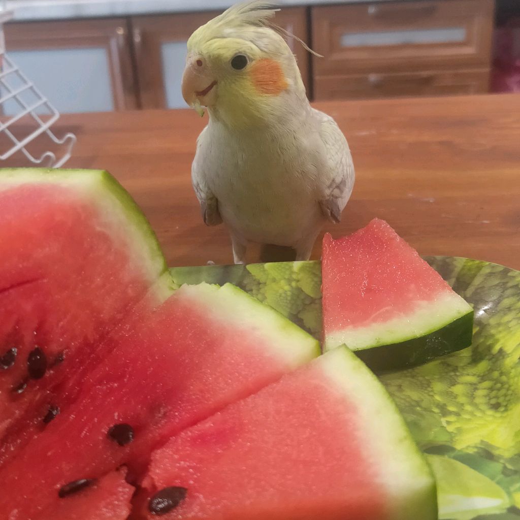 Иконка канала Карелла Джордан