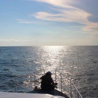 Иконка канала Пал Палыч