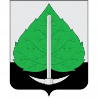 Иконка канала Официальный канал администрации Берёзовского ГО