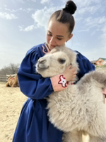 Иконка канала Верблюжий Остров