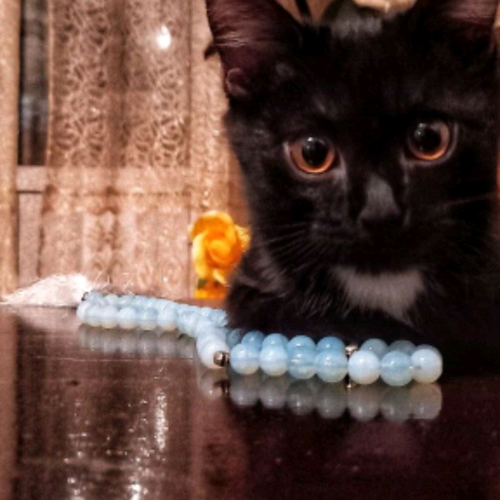 Иконка канала Кот Валера