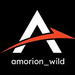 Иконка канала Amorion Wild