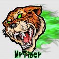 Иконка канала MrTiger