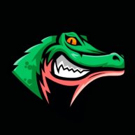 Иконка канала it's Wild