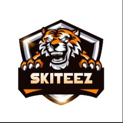 Иконка канала Skiteez