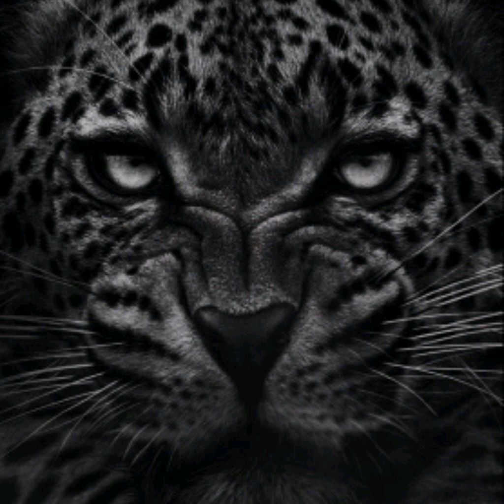 Иконка канала MOTIVATOR.TV