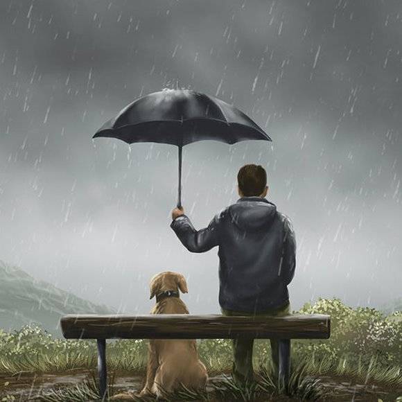 Иконка канала Счастье-это когда все дома. Приют ТиНАО