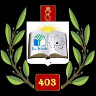 Иконка канала ГБОУ школа № 403 Пушкинского района