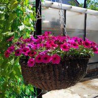 Иконка канала МОЙ МАЛЕНЬКИЙ ДВОРИК