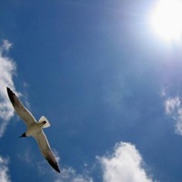 Иконка канала Валентин Удальцов