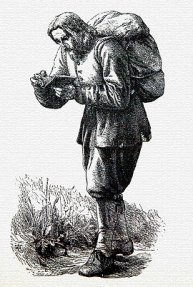 Иконка канала Pjotr Piligrim