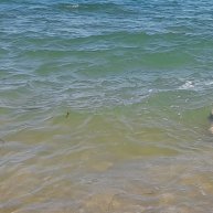 Иконка канала RoSKit