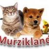 Иконка канала Murzikland
