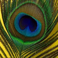 Иконка канала Нама продакшн