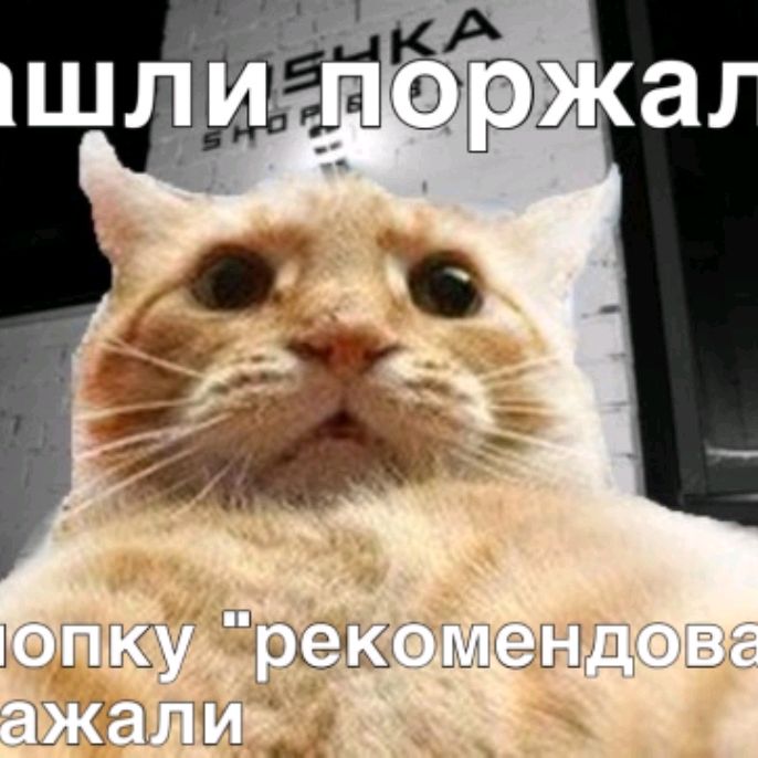 Иконка канала HikiBomboni