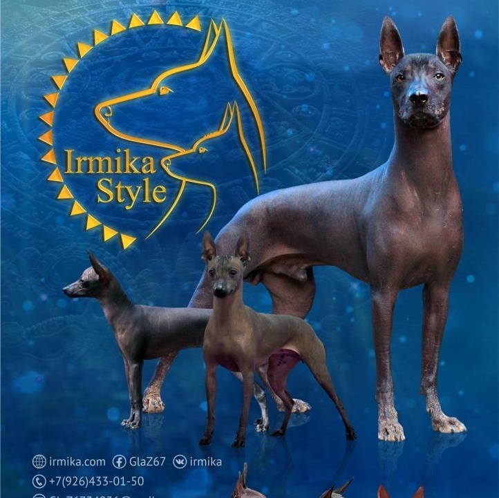 Иконка канала IrmkaStyle