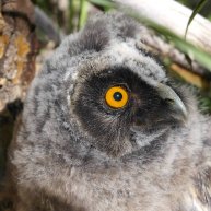 Иконка канала Моя Природа