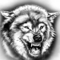 Иконка канала ВОЛК