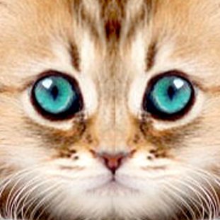 Иконка канала Александр Вид