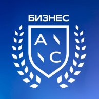 Иконка канала Академия смысла для бизнеса