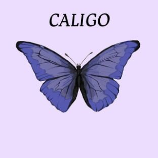 Иконка канала caligo