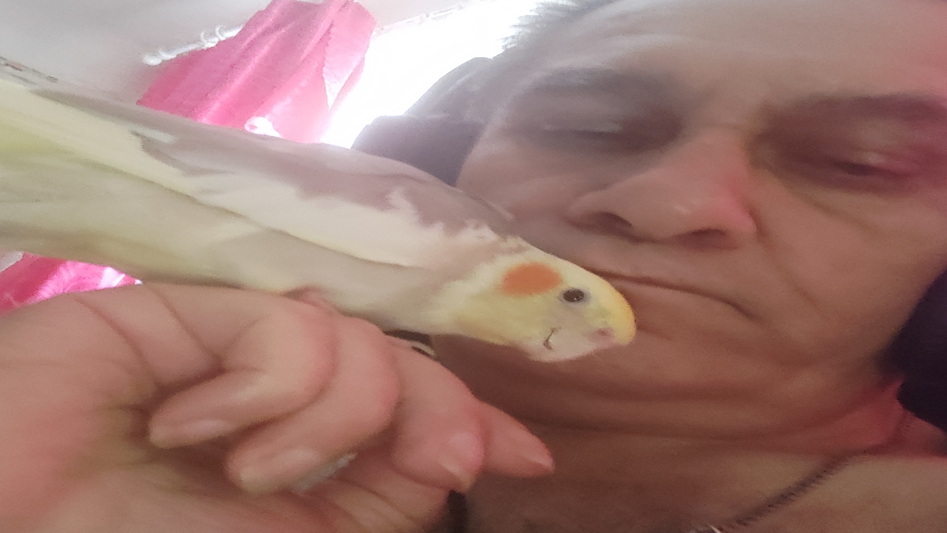 Иконка канала Деда 66