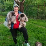 Иконка канала Питомник собак в Ленинградской области