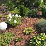 Иконка канала Садовое увлечение