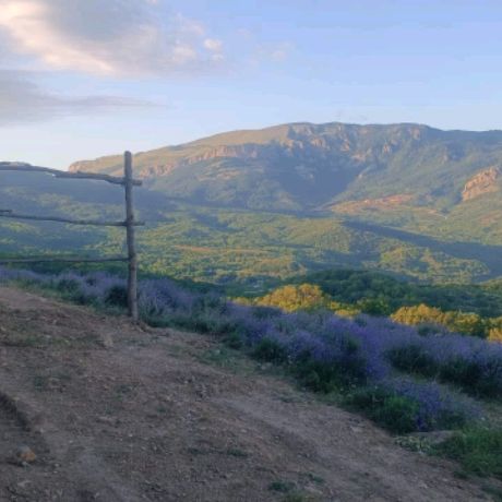 Иконка канала Мир глазами Ксении